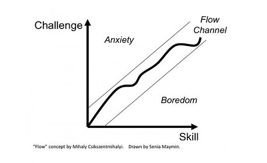 Flow Channel diagram | Kellie Okonek
